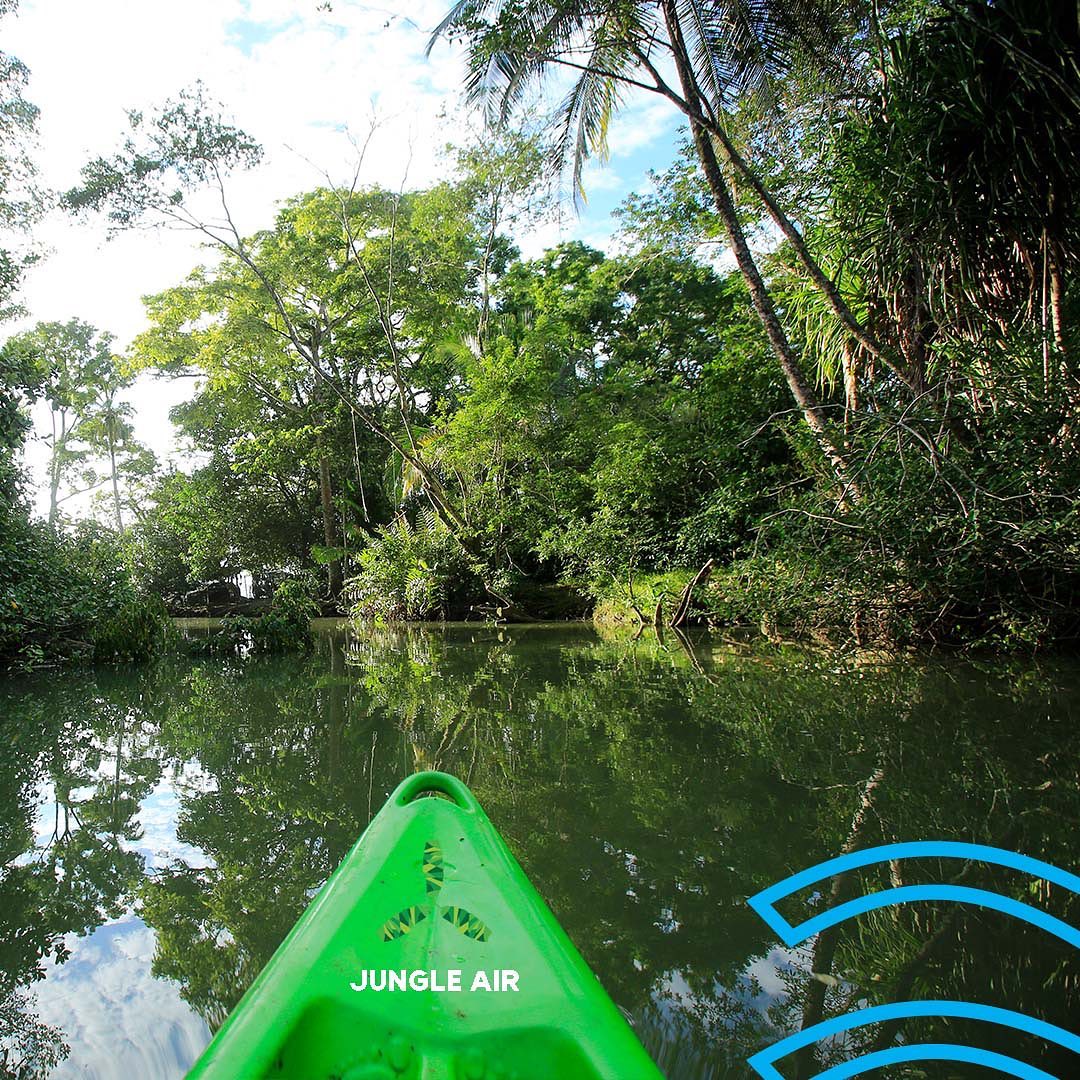 Jungle Canoe – Jungle Kayak – Jungle Air
